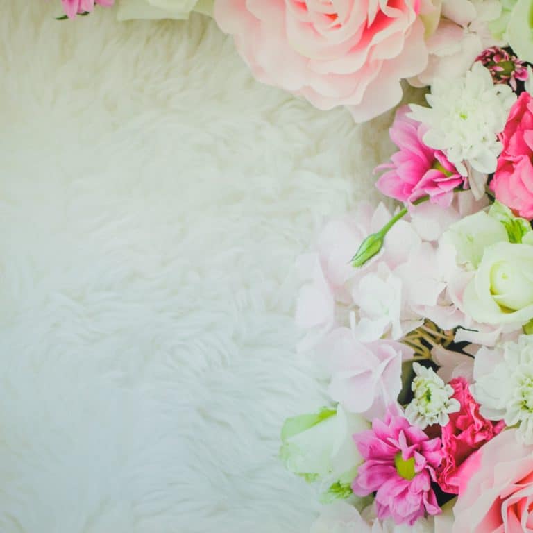 Portable Backdrop Frame - Interchangeable Graphic Backdrop Covers