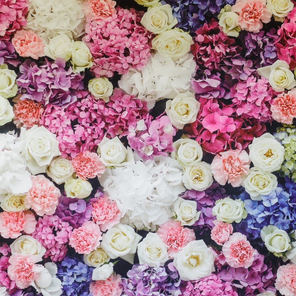 Portable Backdrop Frame - Interchangeable Graphic Backdrop Covers