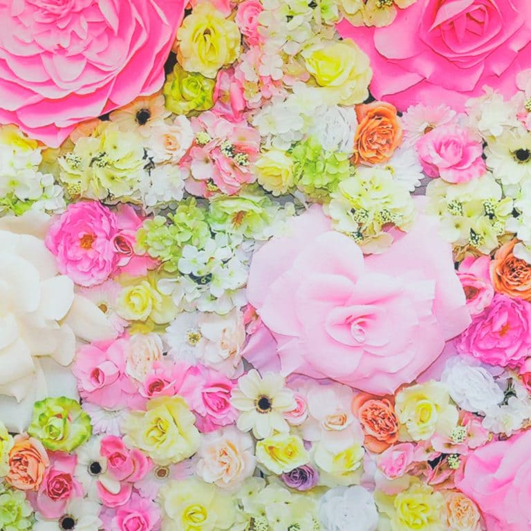 Portable Backdrop Frame - Interchangeable Graphic Backdrop Covers